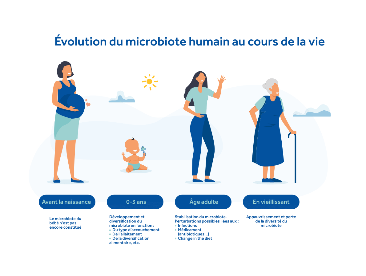 MICROBIOTE ET SANTÉ - About postbiotics