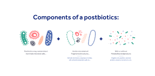 What are postbiotics? - About postbiotics