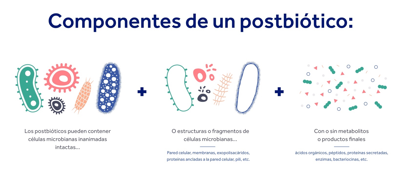Qué son los postbióticos ? - About postbiotics