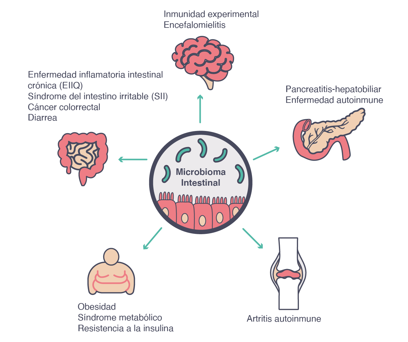 The link between Microbiome and Human Health - ADARE Biome